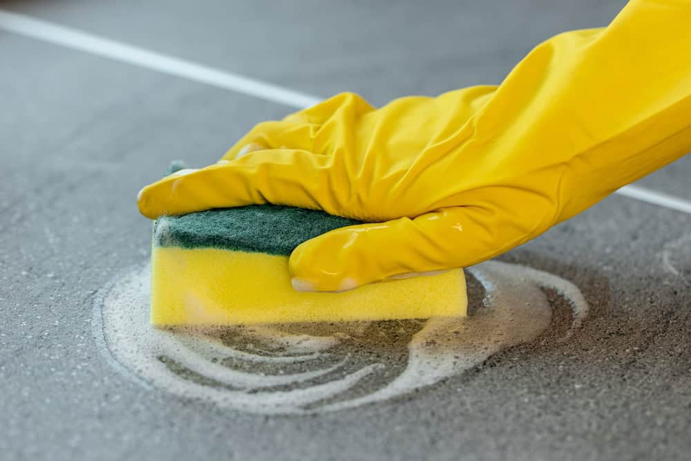 Cleaning & Maid Services in Chicago, IL | Cubby Bear Cleaning