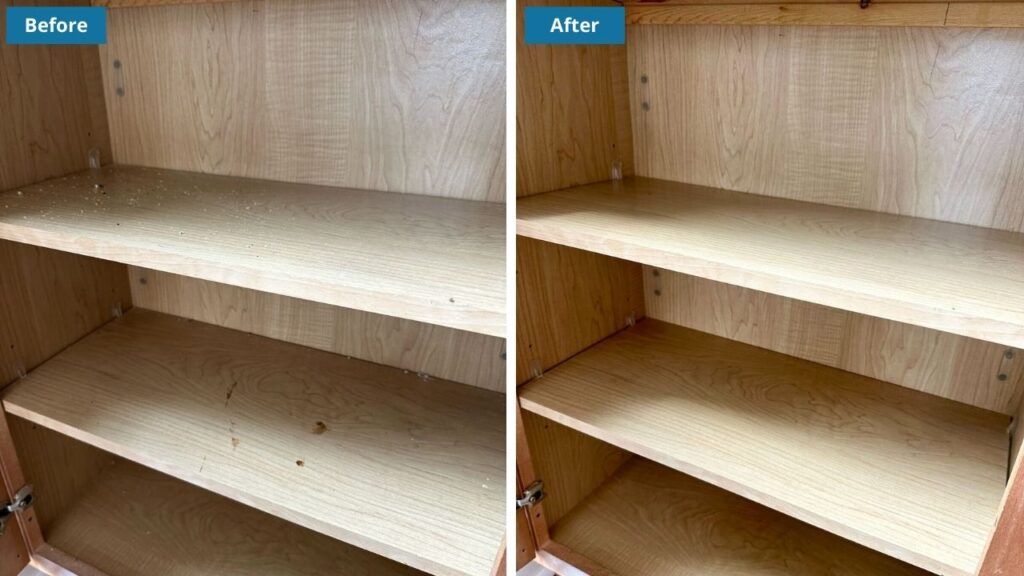 Cleaning & Maid Services in Chicago, IL | Cubby Bear Cleaning